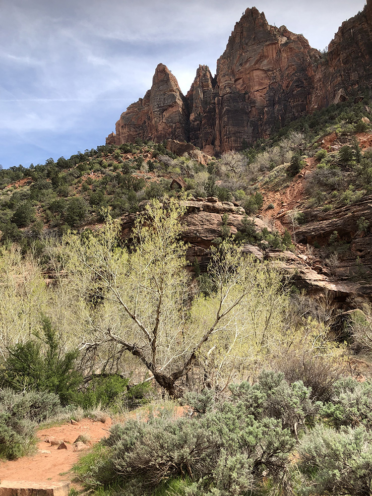 Wild Voices – About wildlife, wild lands, and honoring the intrinsic ...